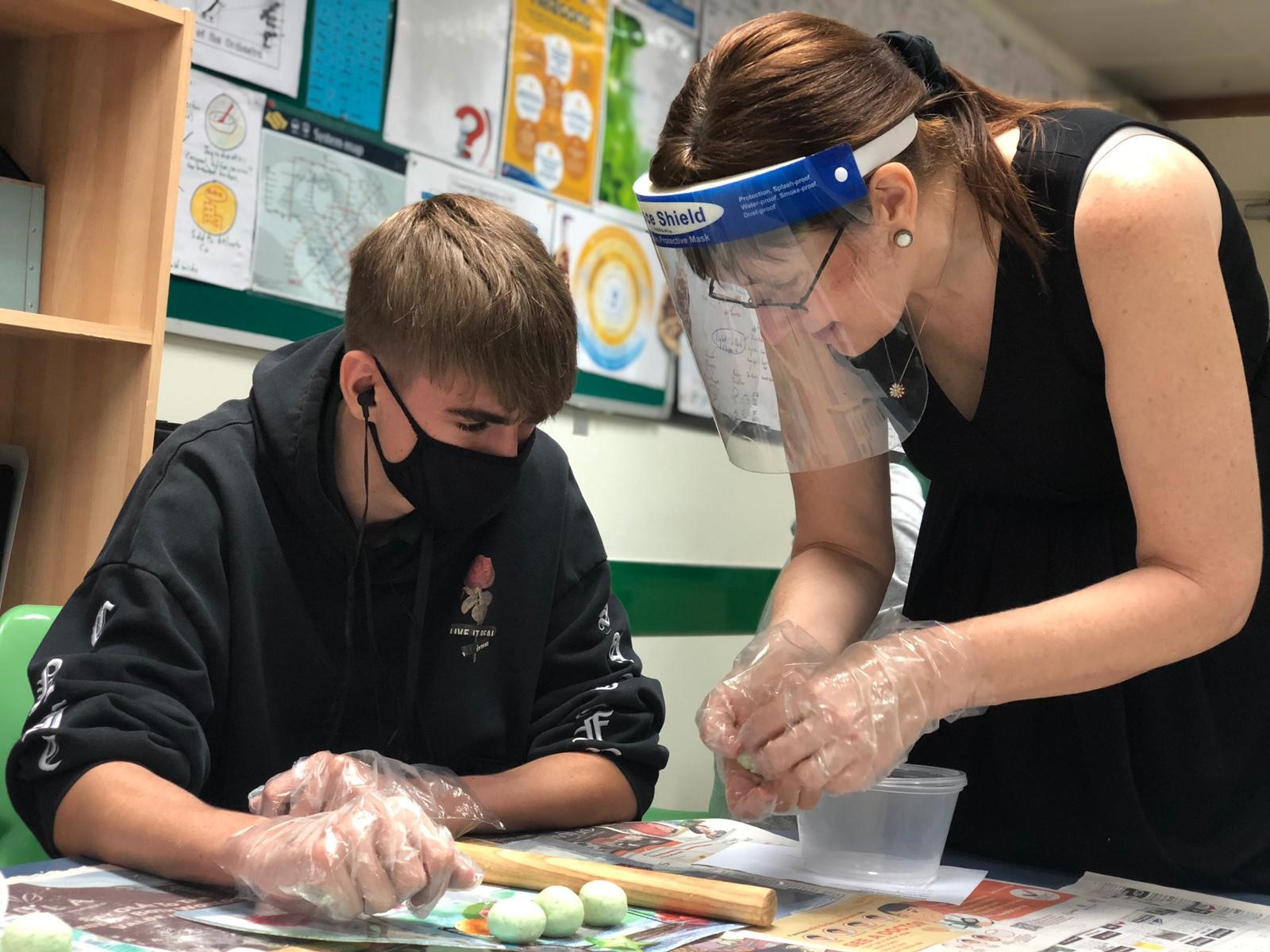 Our Curriculum - Ma Kuang College of Traditional Chinese Medicine (TCM)